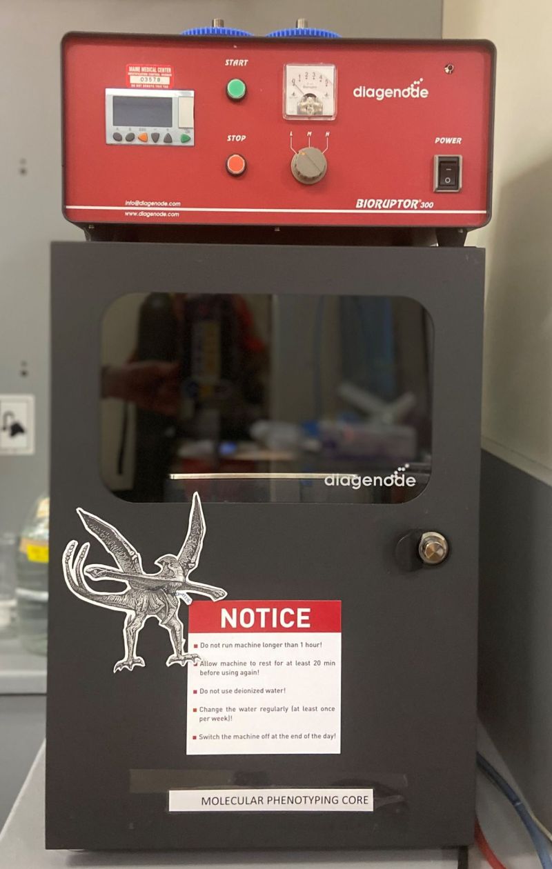 Molecular Phenotyping – MHIR