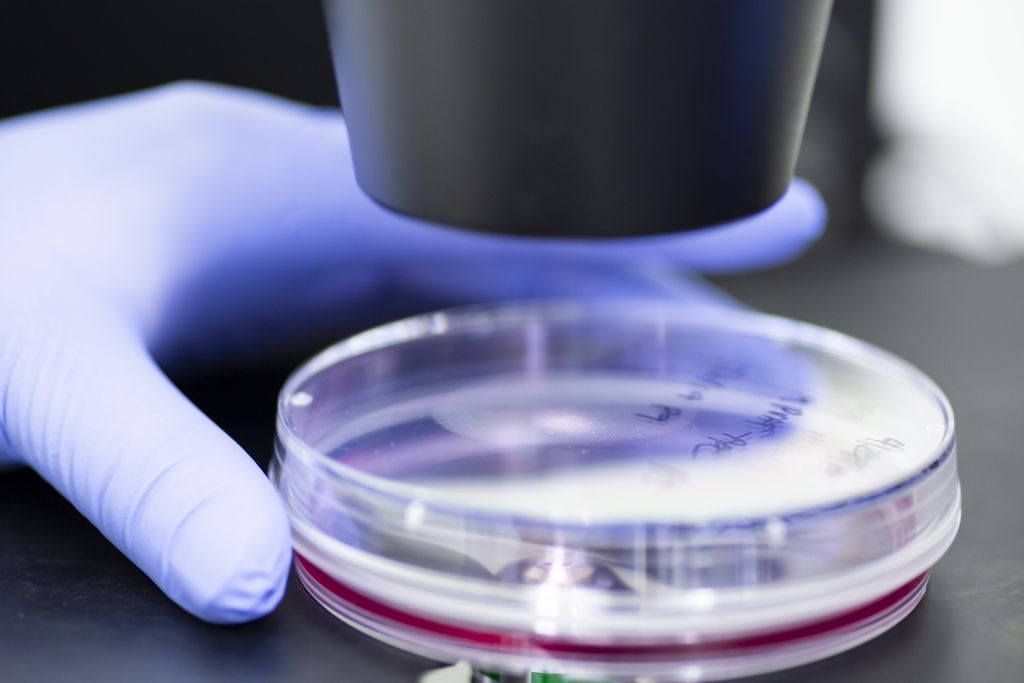 Agilent 2100 Bioanalyzer: User Protocols & Technical Guides – MHIR